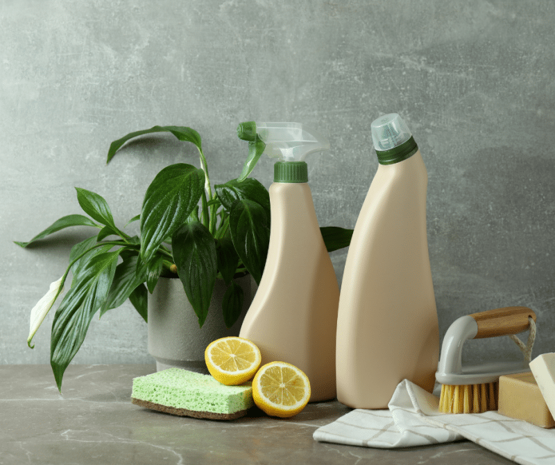 September 1, 2025 - Eco Clean Ellie's